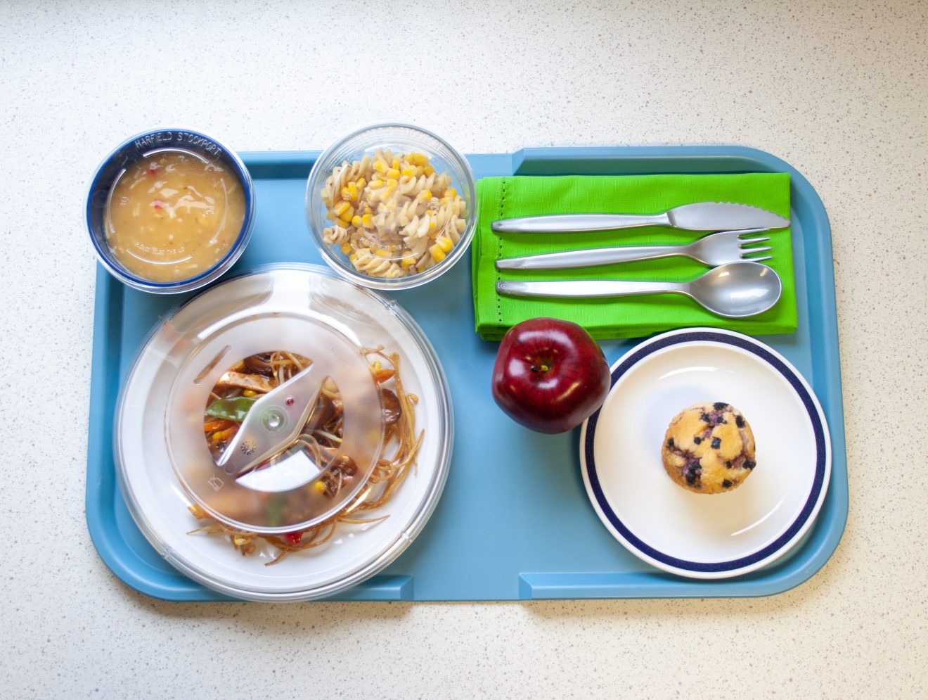 Hospital Tray "S" Polyester - 53x32.5cm • Harfield Tableware